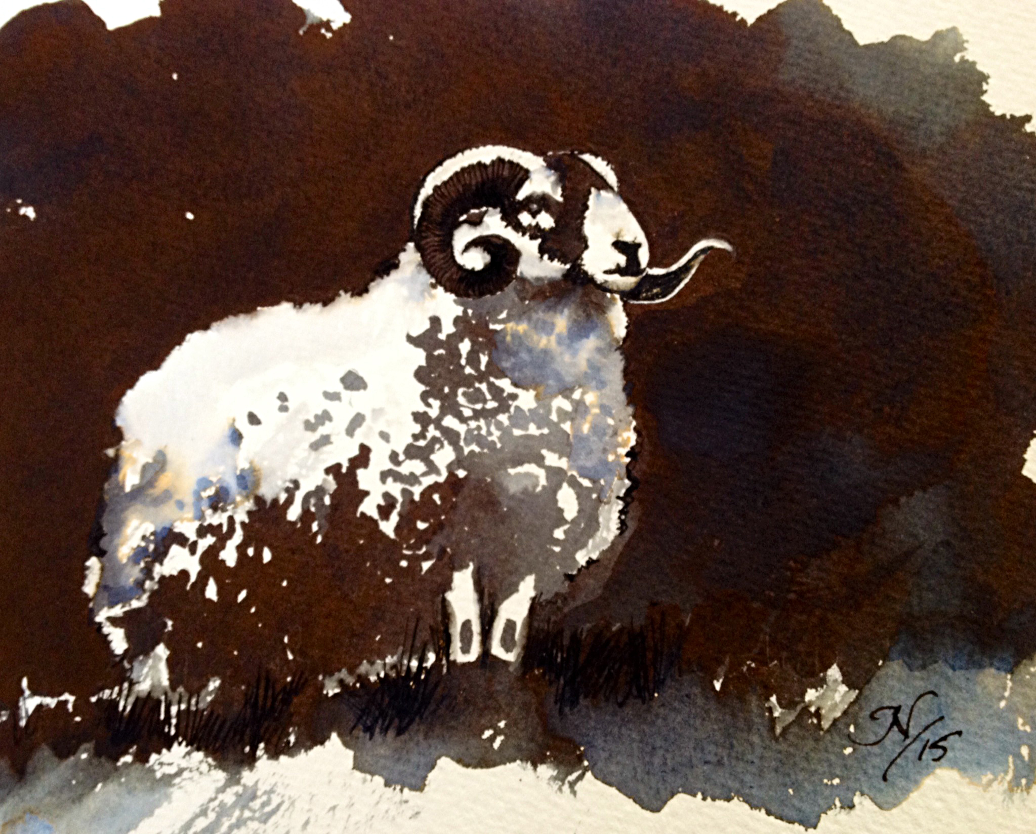 A Sheep Day Dreaming in a Field – FOUNTAIN PEN INK ART