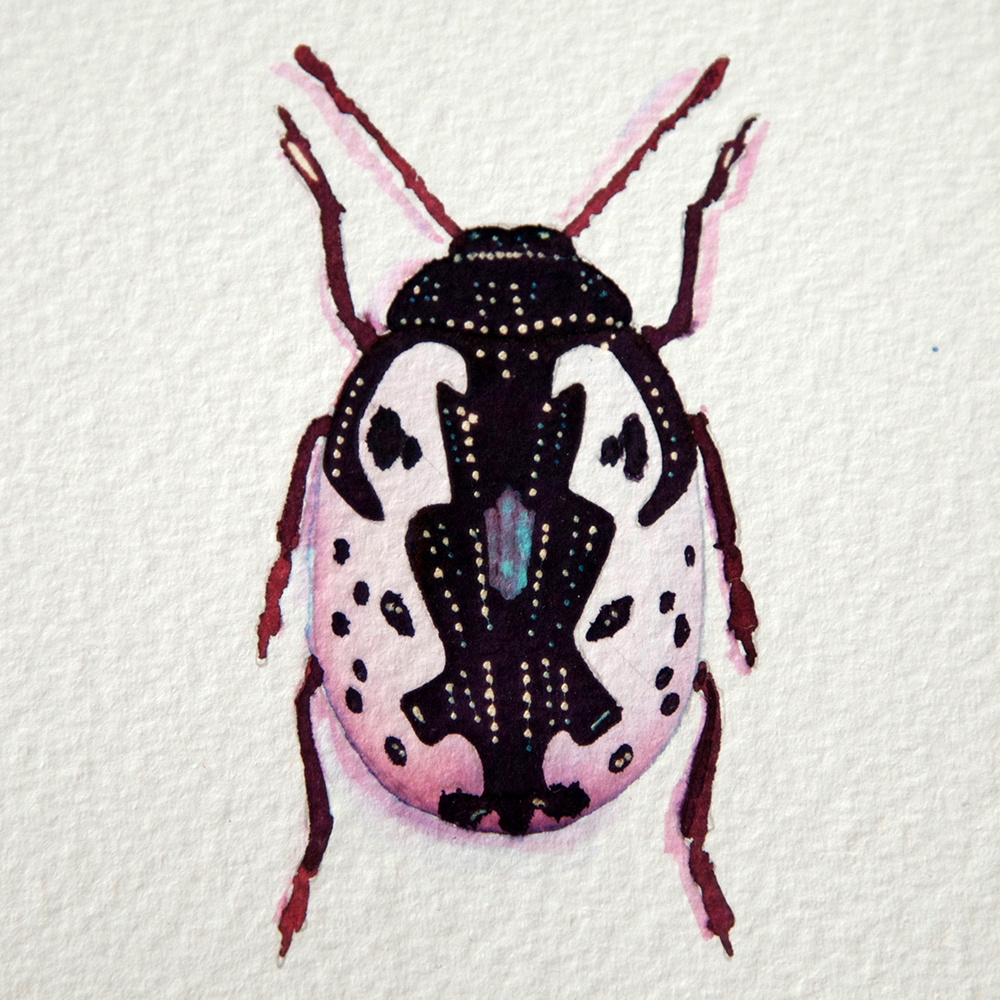 Robert Oster Signature Bugs – FOUNTAIN PEN INK ART