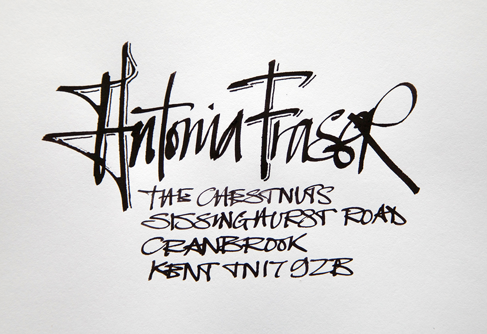 Kaweco Calligraphy Nibs Review – FOUNTAIN PEN INK ART