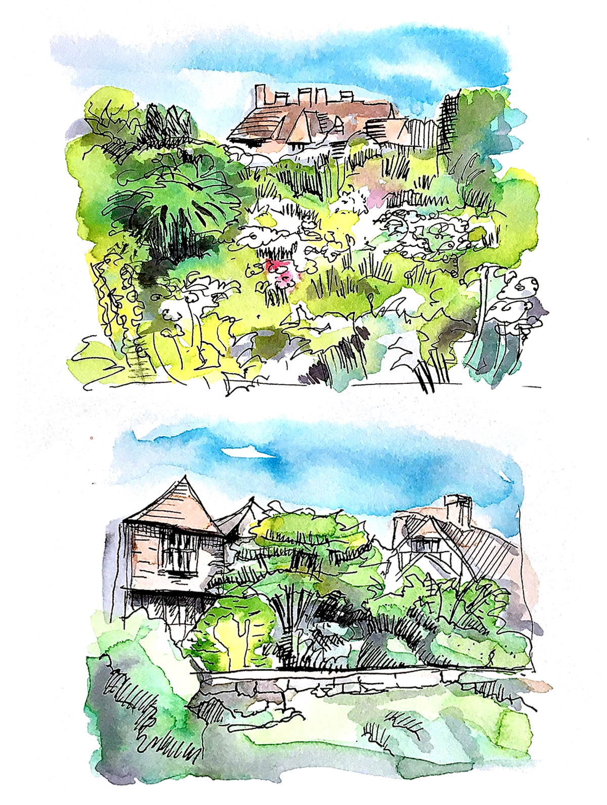 Illustrating garden design concepts with fountain pen inks – FOUNTAIN ...
