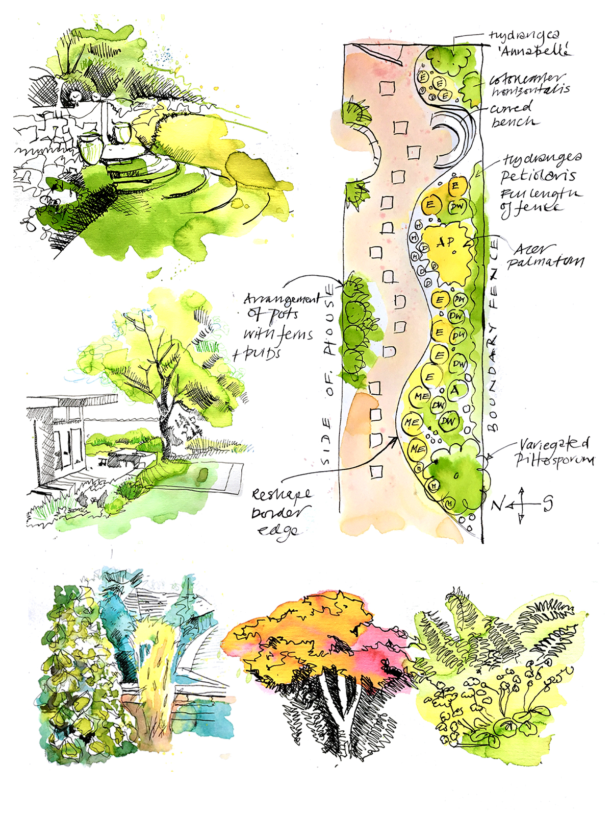 Illustrating garden design concepts with fountain pen inks – FOUNTAIN ...