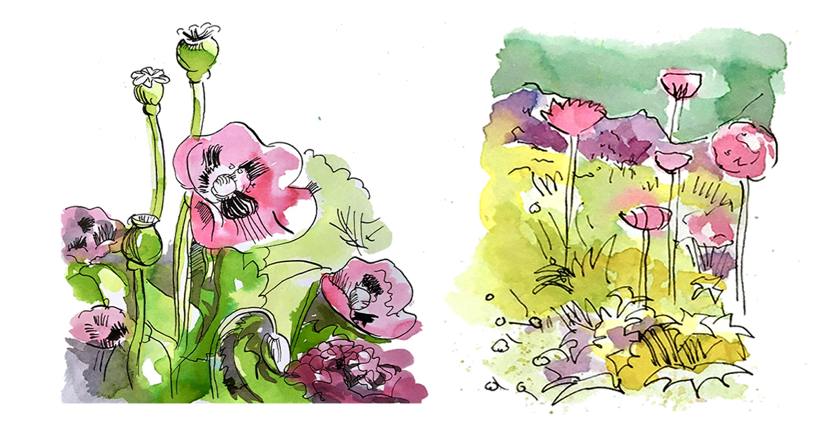 Illustrating garden design concepts with fountain pen inks – FOUNTAIN ...
