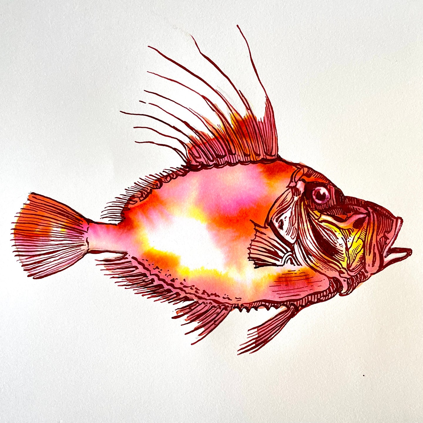 TECHNIQUES – FOUNTAIN PEN INK ART