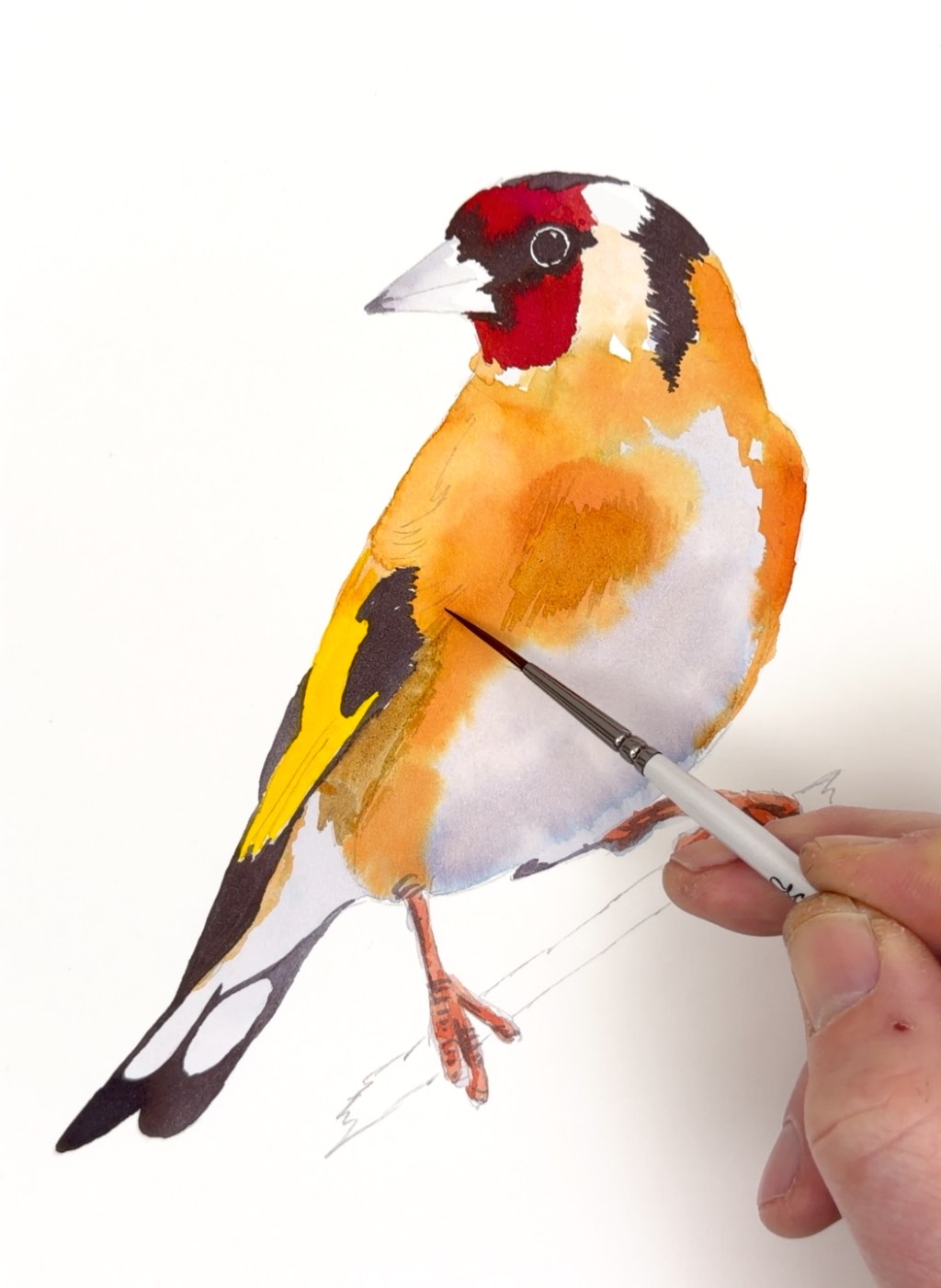 Colour Wheel and Goldfinch template download link – FOUNTAIN PEN INK ART